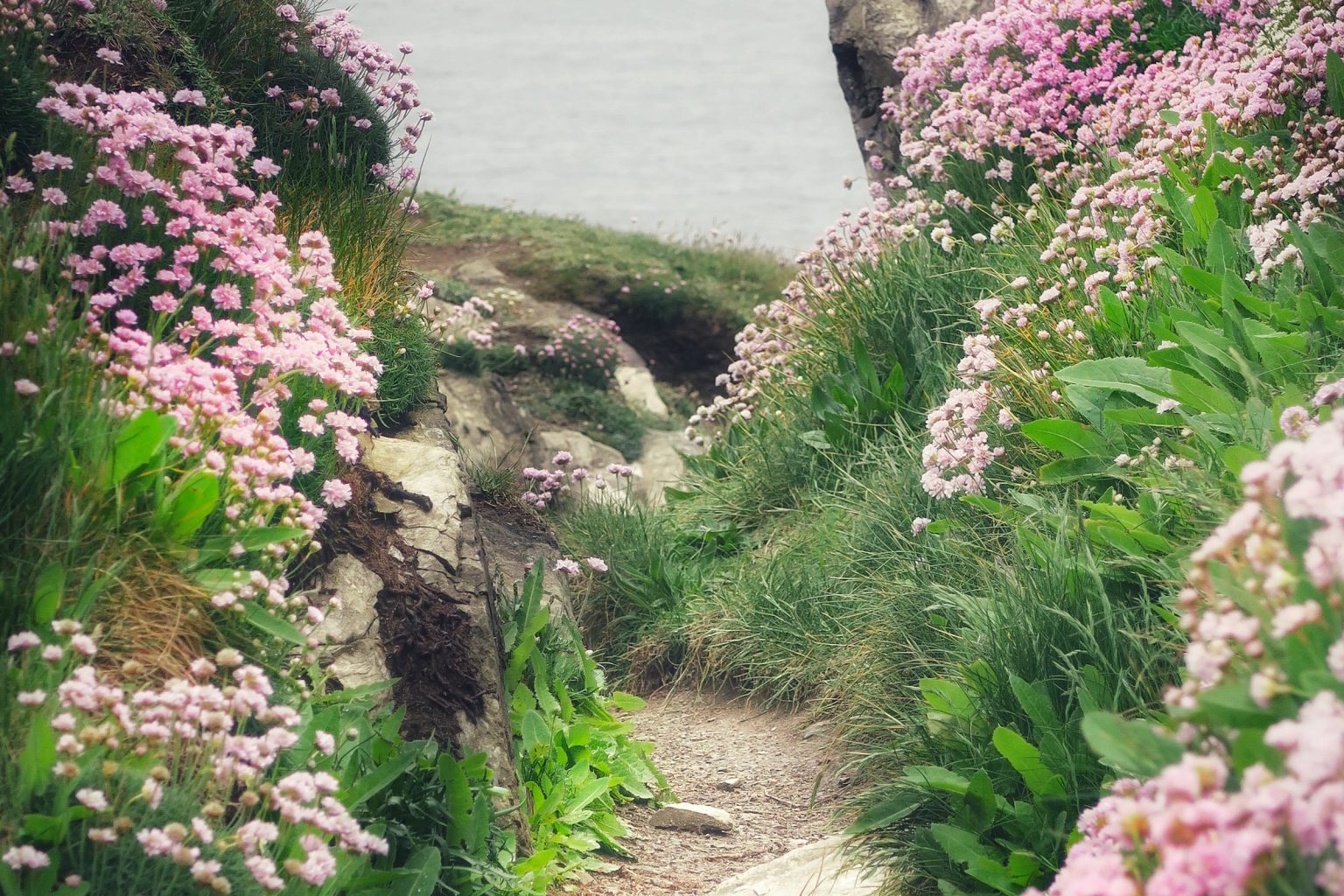 Who we are - CPRE Cornwall