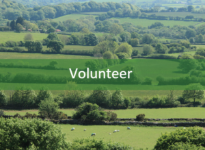 Support us - CPRE Cornwall